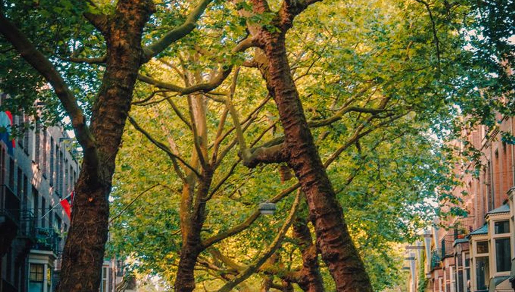 Prettiest streets in Amsterdam