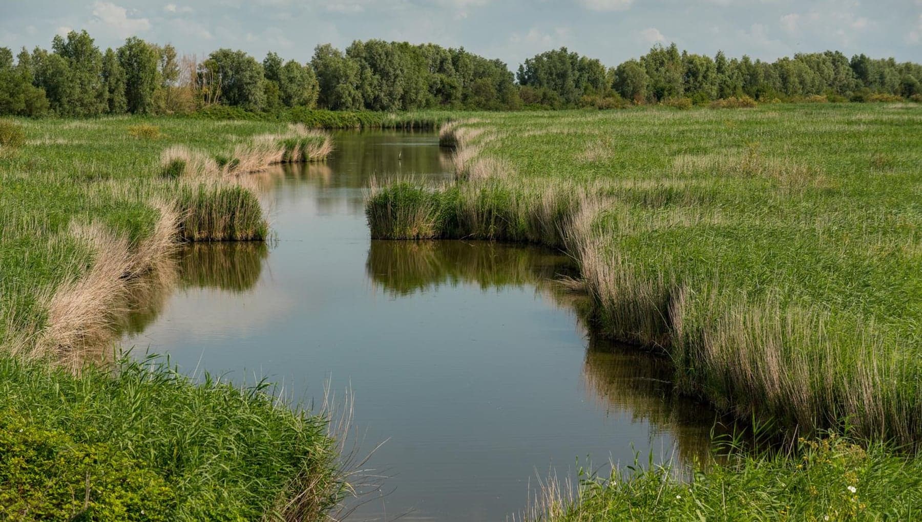 Amsterdams best nature areas | I amsterdam