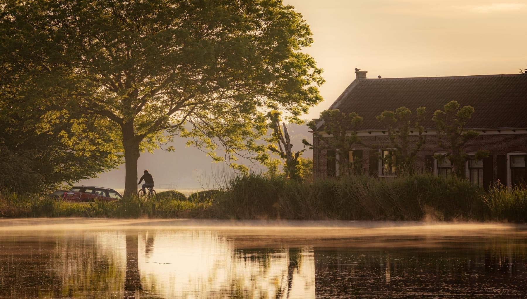 Amsterdams best nature areas | I amsterdam