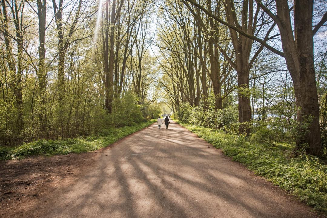 Gaasperplas Park
