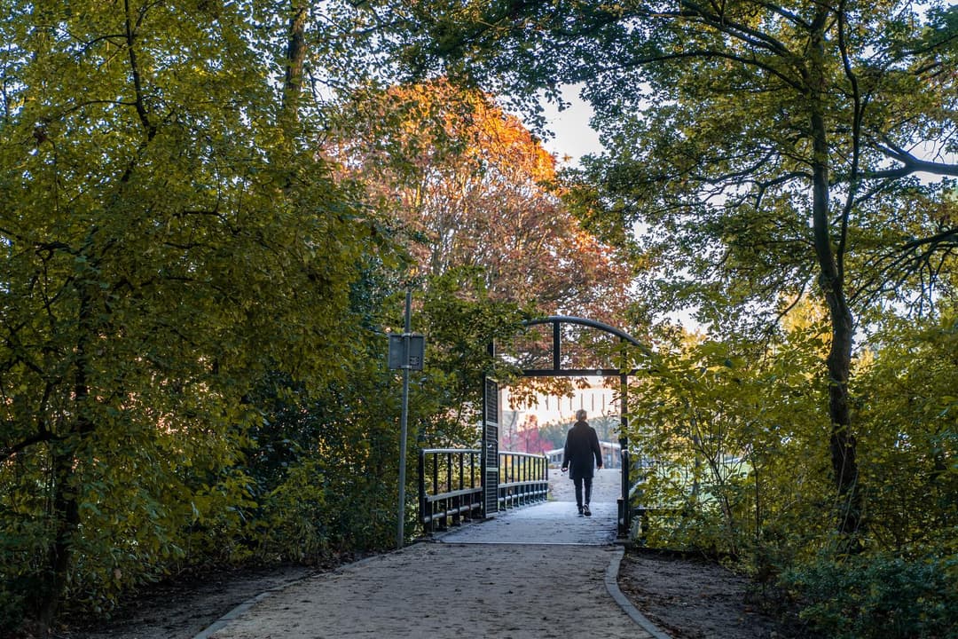 Erasmuspark