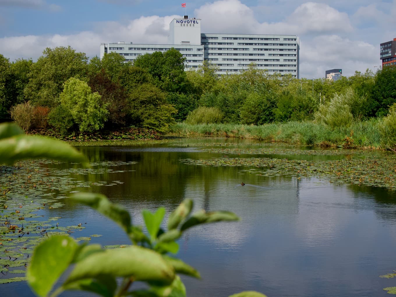 Amstelpark | I amsterdam