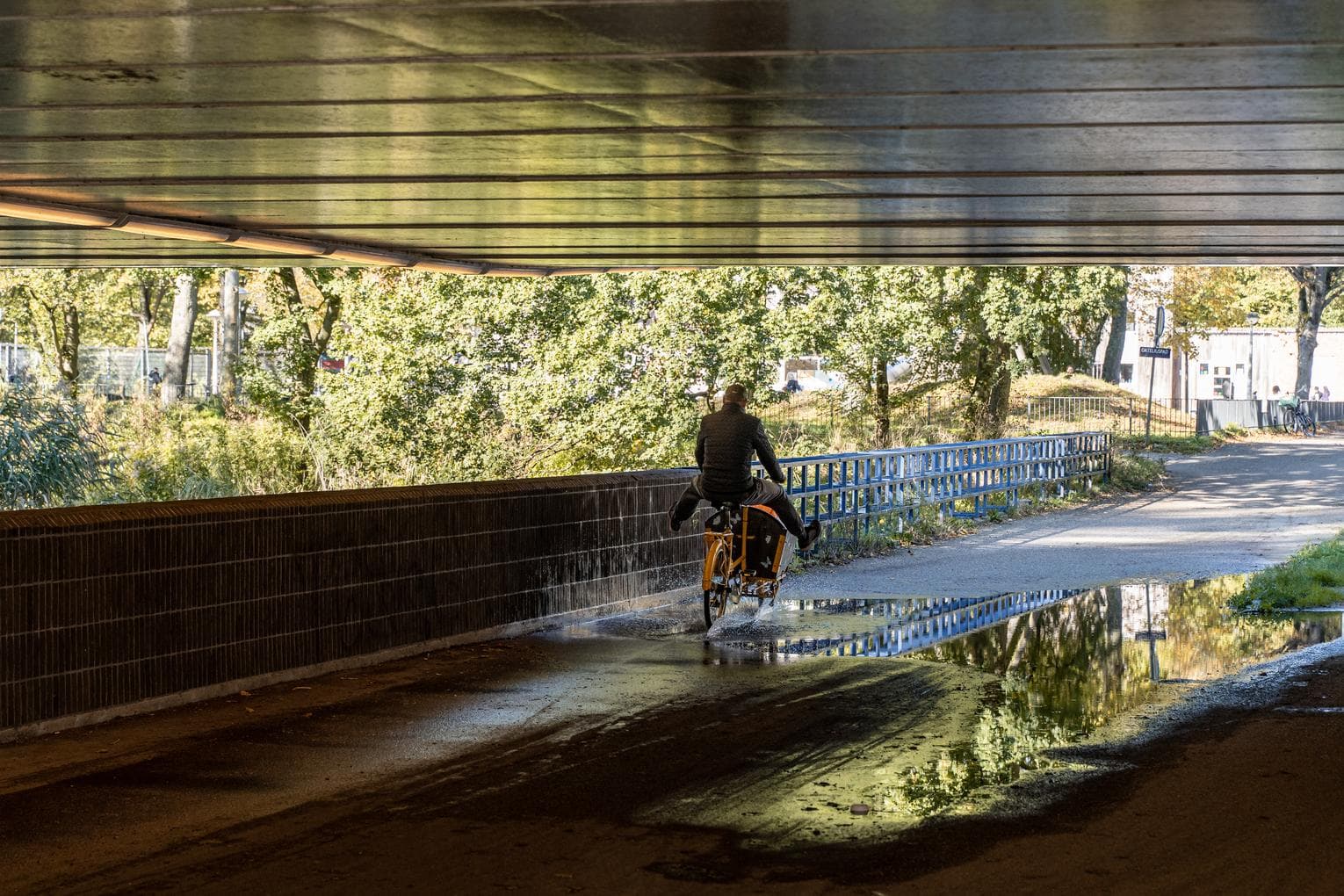 The Amsterdamse Bos (Amsterdam Forest)