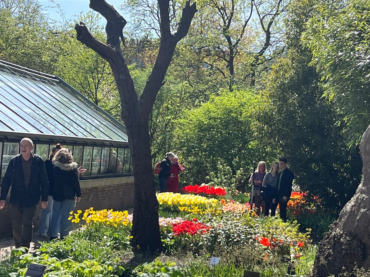 Hortus Botanicus Amsterdam (Botanical Garden)