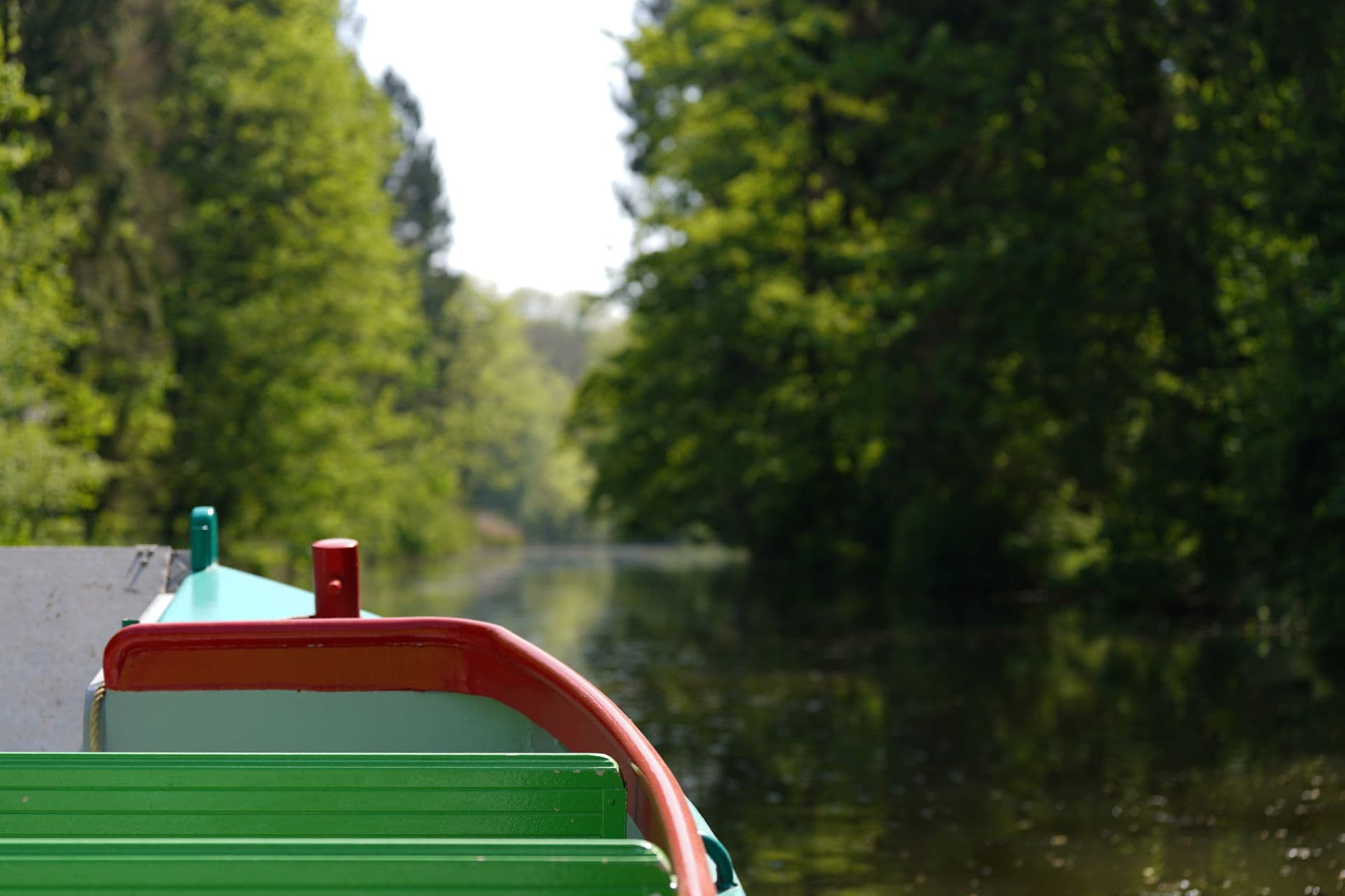 The Amsterdamse Bos (Amsterdam Forest)
