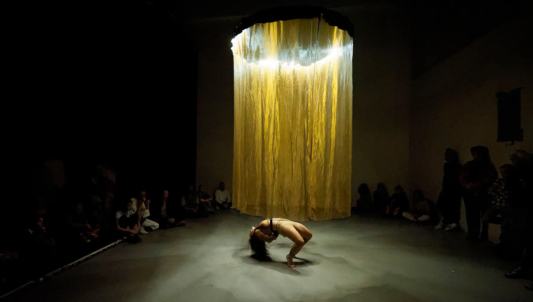 Back to Base circus evening