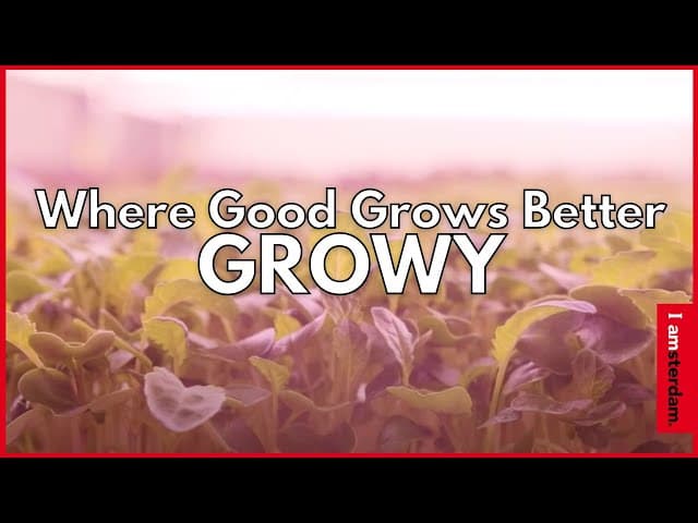 Vertical farming company Growy is on a mission to feed the world | I ...