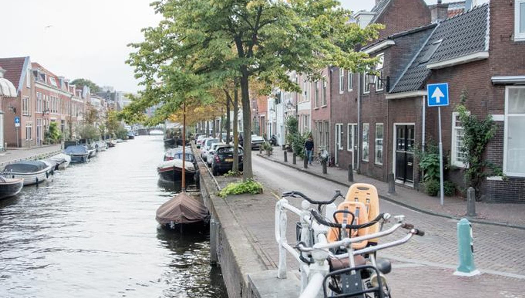 Things to do in Haarlem | I amsterdam