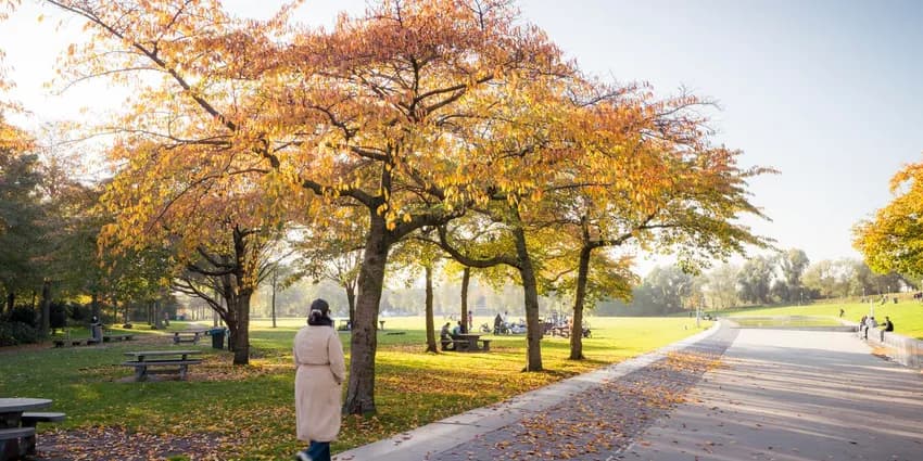 Westerpark | I amsterdam
